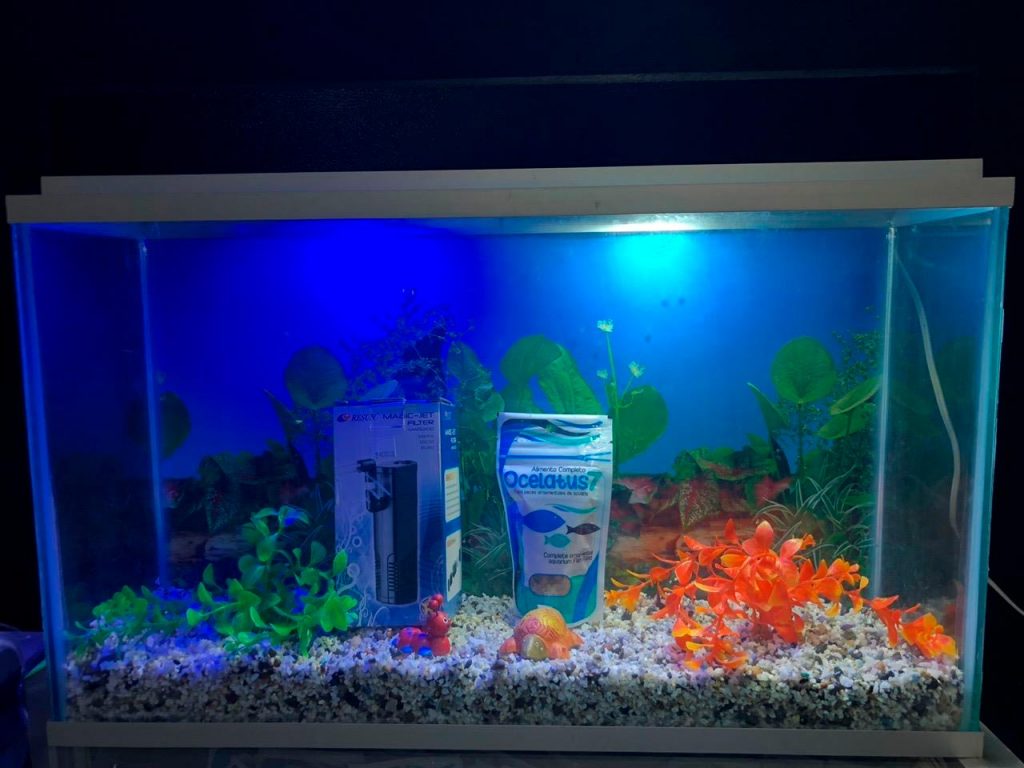 Kit Acuario Completo E2 - www.mrpez.com.co