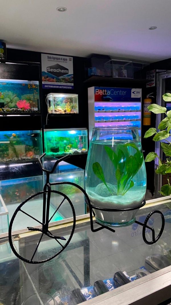 Kit C3 Pecera Cilíndrica completa + MiniBicicleta - www.mrpez.com.co